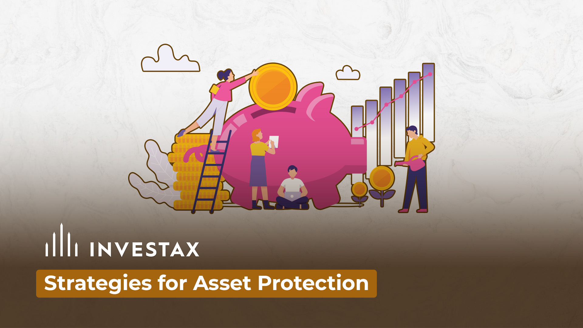 Asset Protection Stratgies - Investax